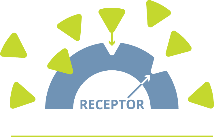 Official Patient Website | ERLEADA® (apalutamide)