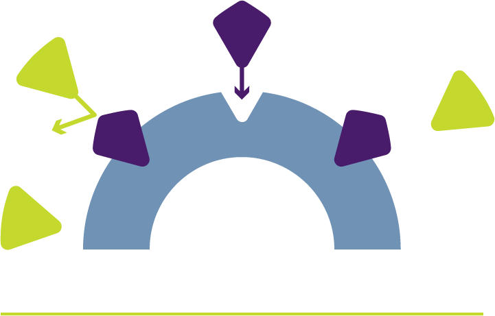 Official Patient Website | ERLEADA® (apalutamide)